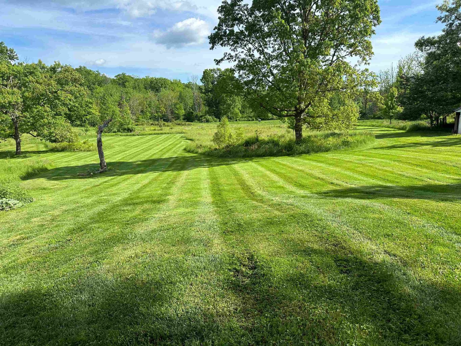 Quakertown, PA Lawn Care Services - Woody Lawn & Landscape